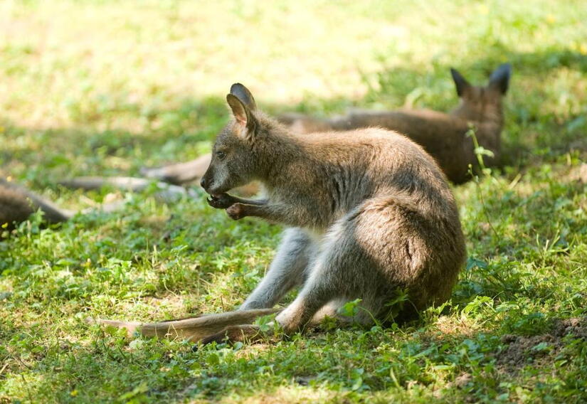 Bad Liebenstein - Stadt Brotterode-Trusetal